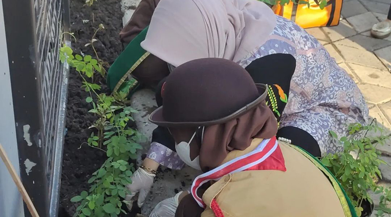 Puskesmas Menur Ditanami Bunga Telang – Forum Kota Surabaya Sehat